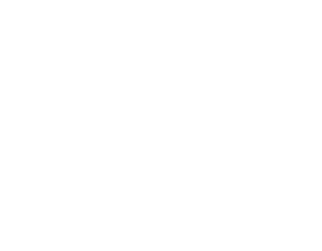 The Matchmaking Duo - The Matchmaking Duo